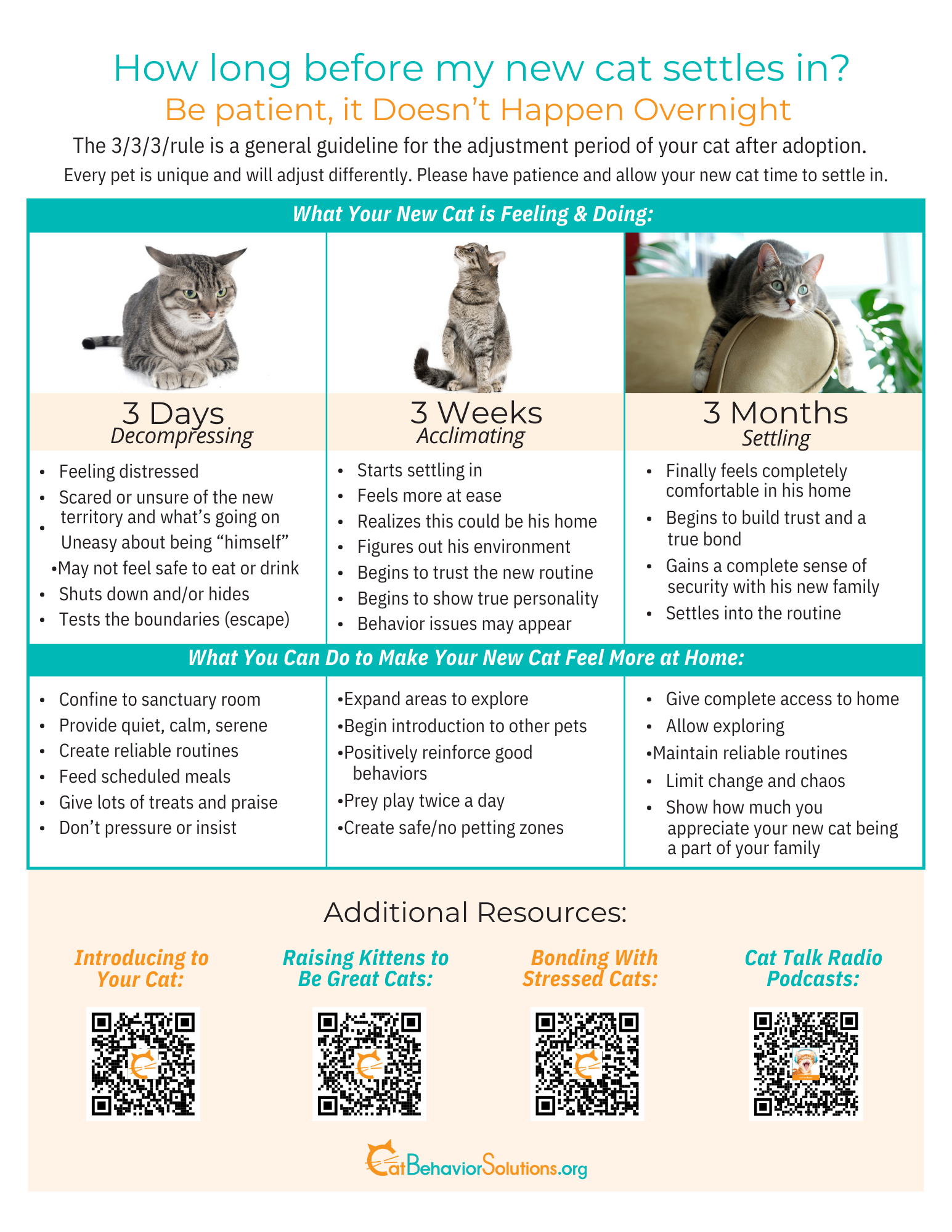 Trap-Neuter-Return (TNR) | Community Cats | Education | Resources ...