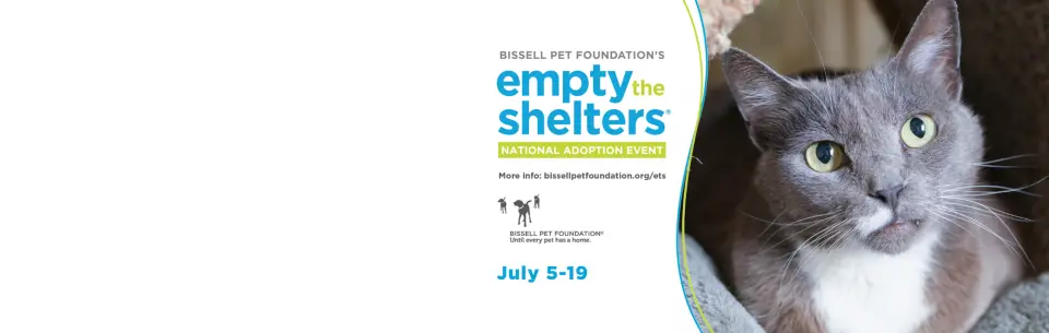 Simply Cats | Caring for, Protecting and Finding Quality Homes for Cats ...