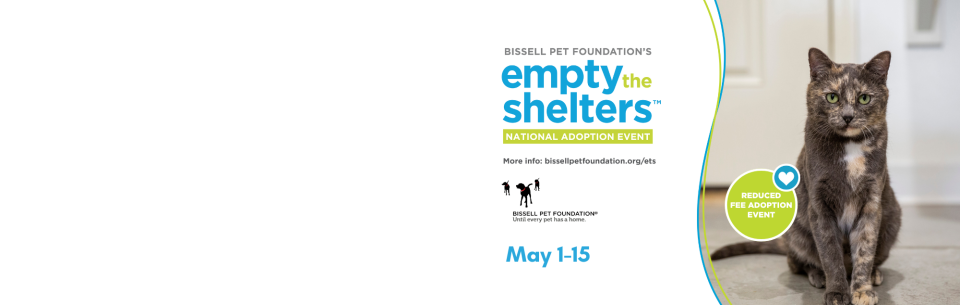 Simply Cats | Caring for, Protecting and Finding Quality Homes for Cats ...